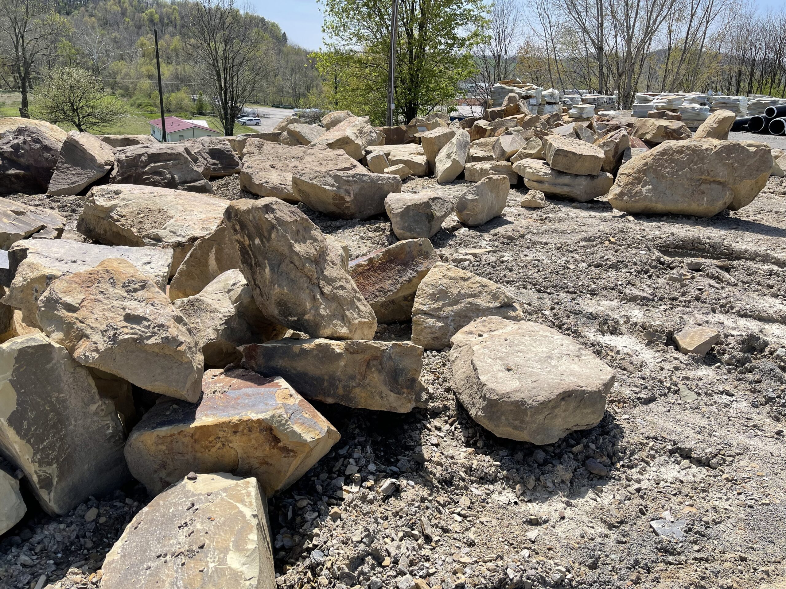 Which Rock Is The Oldest Shale Limestone Sandstone Basalt at Paul ...